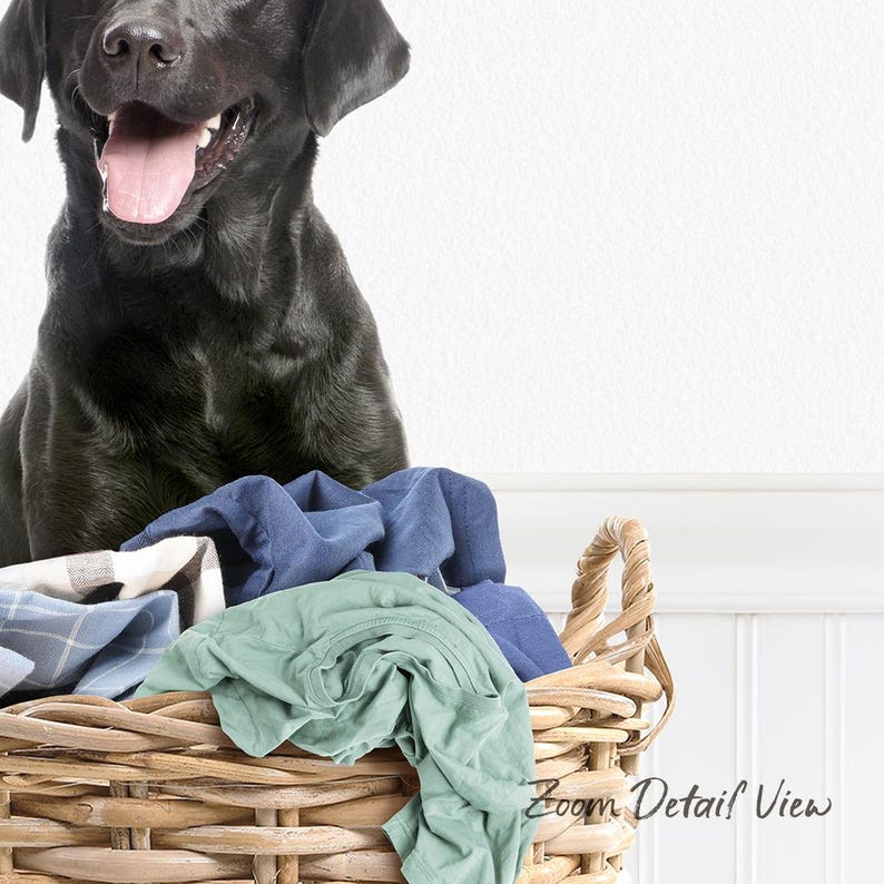 Black Lab Laundry Buddy Art Print: Whimsical Dog Wall Decor - Etsy