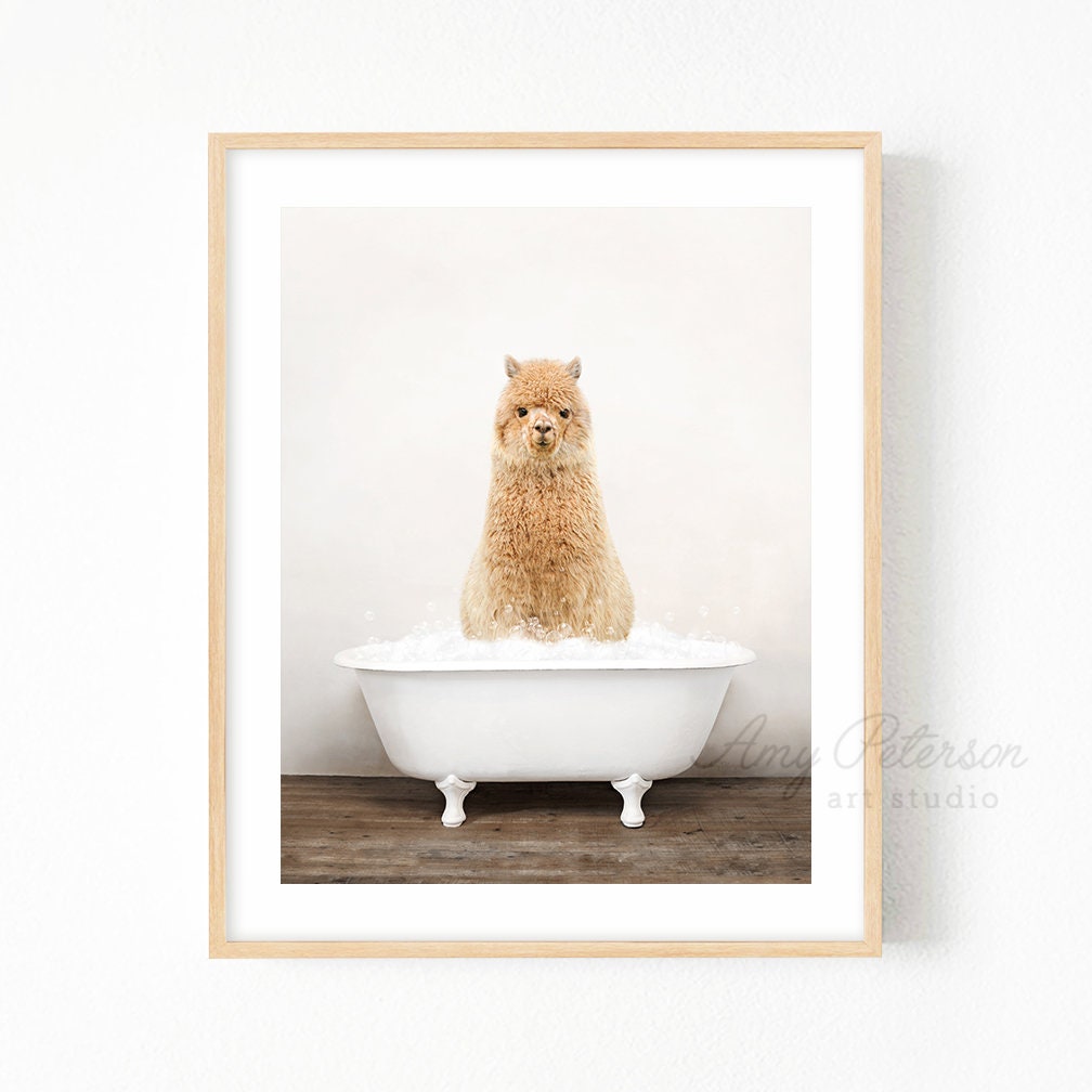 Alpaca in a Vintage Bathtub Rustic Bath Style Alpaca in Tub - Etsy