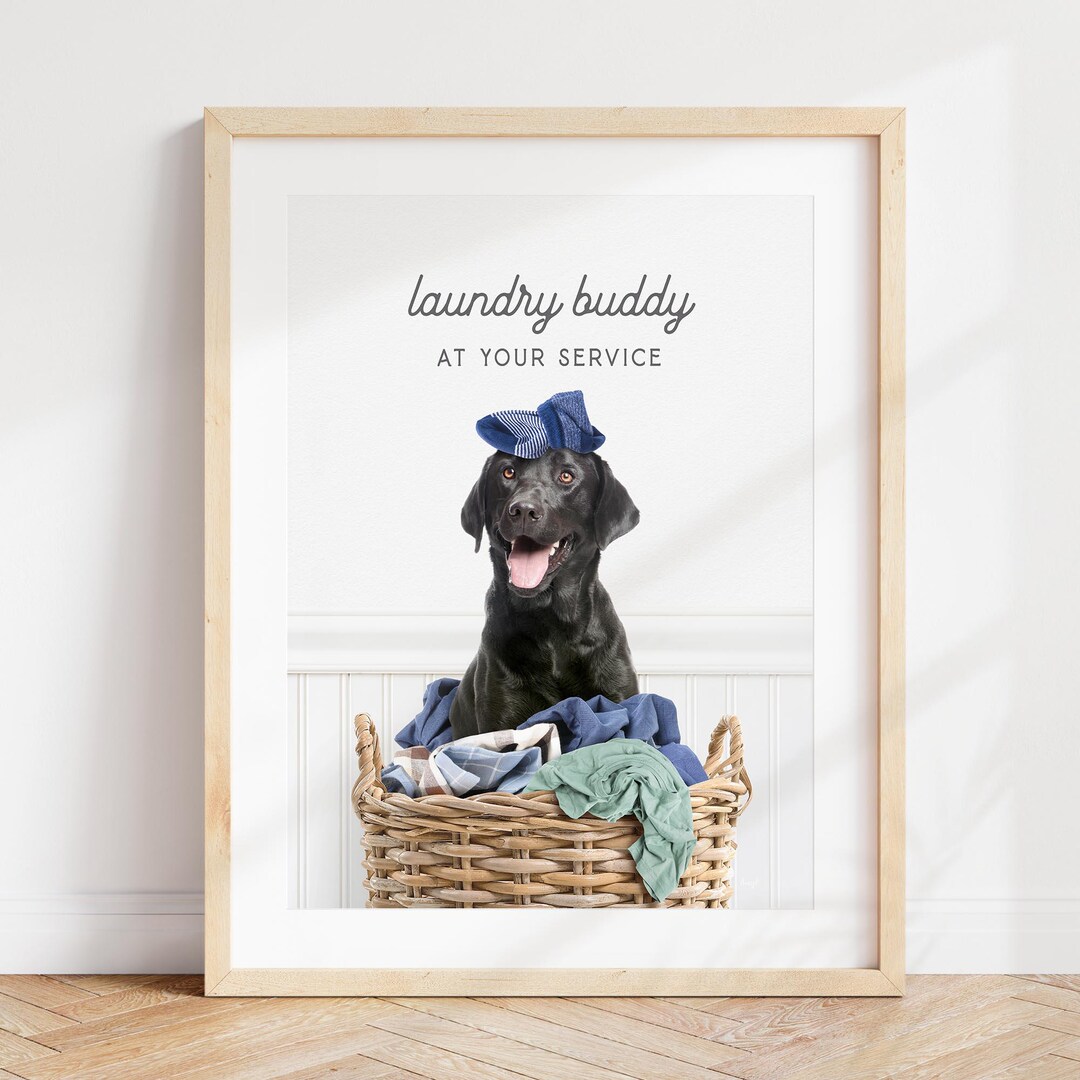 Black Lab Laundry Buddy Art Print: Whimsical Dog Wall Decor - Etsy