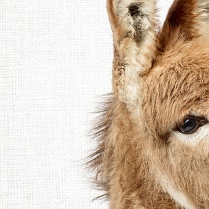 Baby Donkey Blowing Bubble Gum Donkey Print Farm Animal Art - Etsy