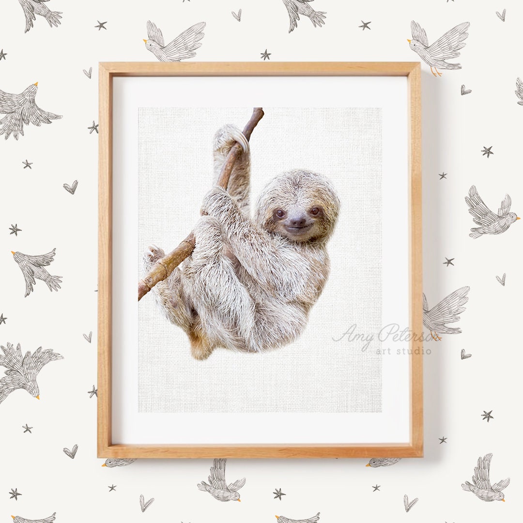 Baby Sloth Art Print Portrait of Baby Sloth Animal Wall Art - Etsy