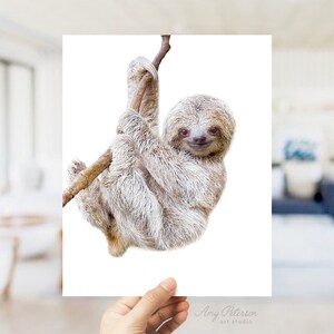 Baby Sloth Art Print, Portrait of Baby Sloth, Animal Wall Art, Sloth ...