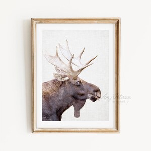 Moose Portrait Moose Photo Print Moose Art Moose Wall Art - Etsy