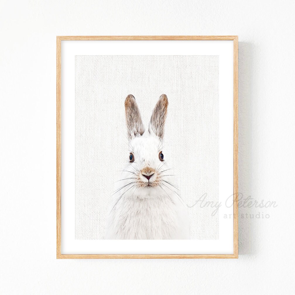 Snowshoe Hare Print Bunny Print for Nursery Bunny Portrait - Etsy