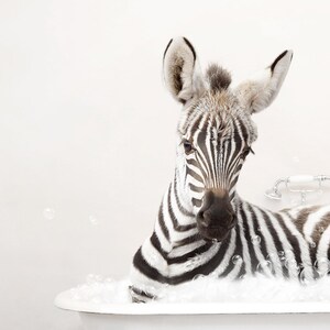 Zebra in a Vintage Bathtub, Rustic Bath Style, Zebra in Tub, Bathroom ...