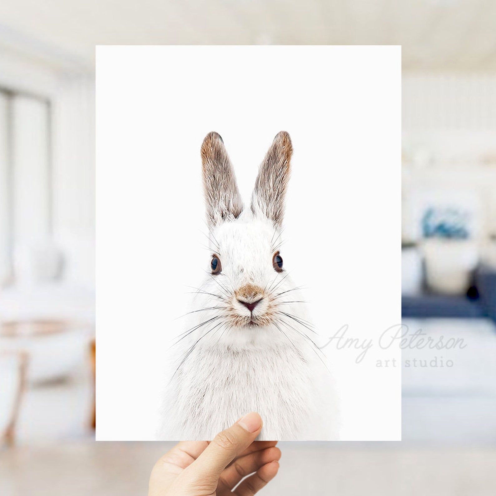 Snowshoe Hare Print Bunny Print for Nursery Bunny Portrait - Etsy
