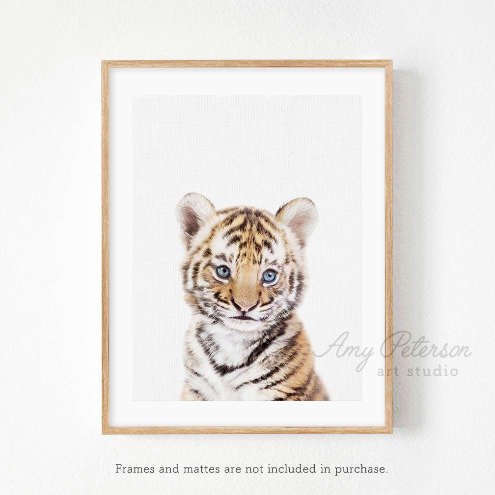 Baby Tiger Cub Safari Baby Animal for Nursery Art Safari | Etsy