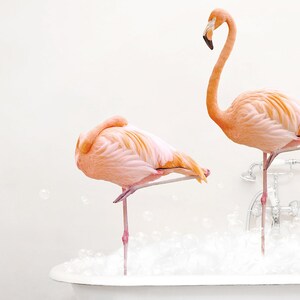 Three Flamingos in a Vintage Bathtub, Rustic Bath Style, Flamingo in ...