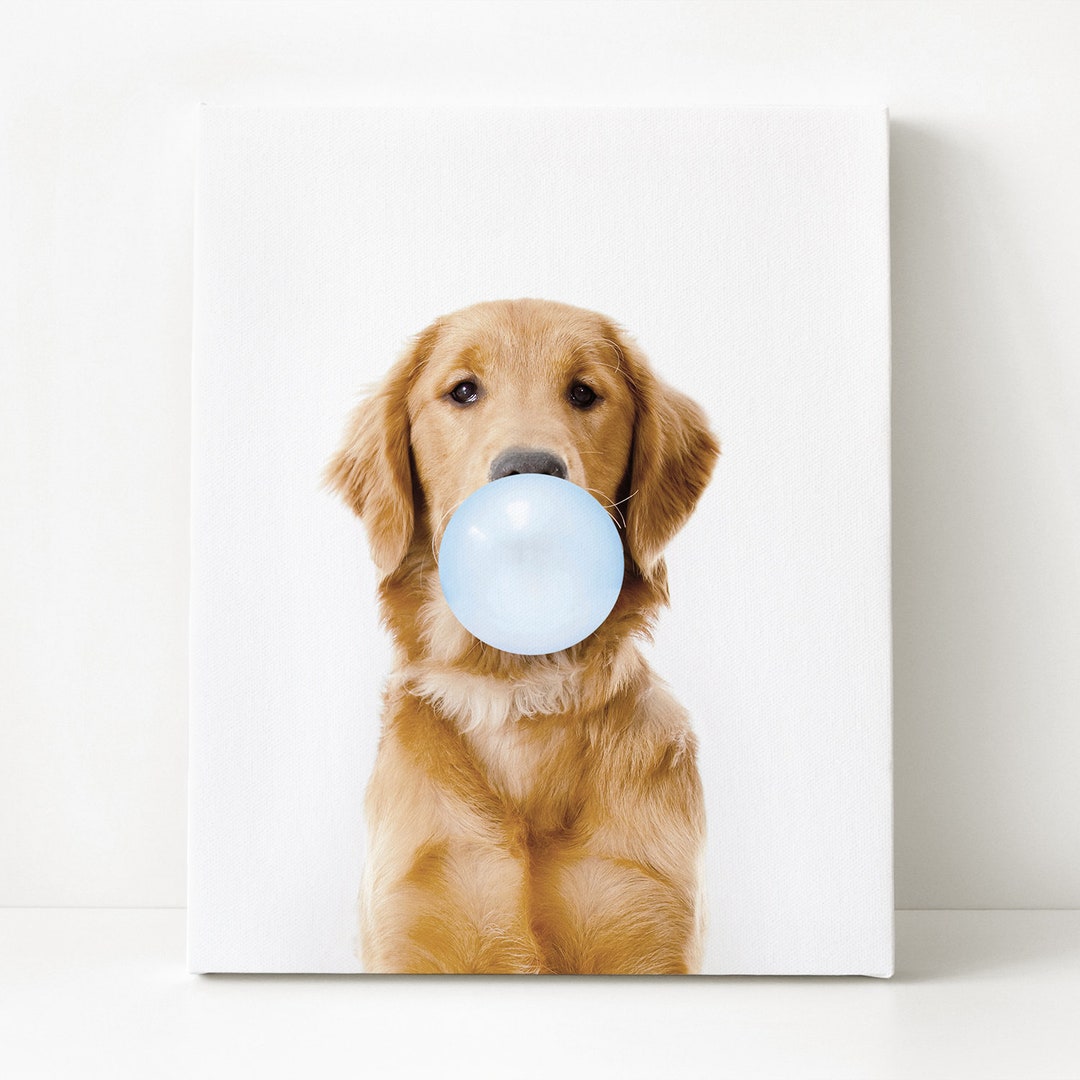 Red Retriever Blowing Bubble Gum, Dog Art, Dog Portrait, Dog Wall Art ...