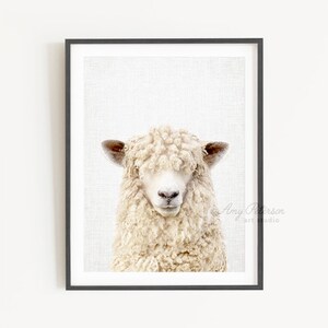Sheep Photo Print Farm Animal Wall Art Sheep Portrait Sheep - Etsy