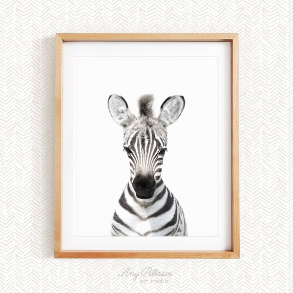 Zebra Decor - Etsy