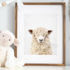 Sheep Photo Print Farm Animal Wall Art Sheep Portrait Sheep - Etsy