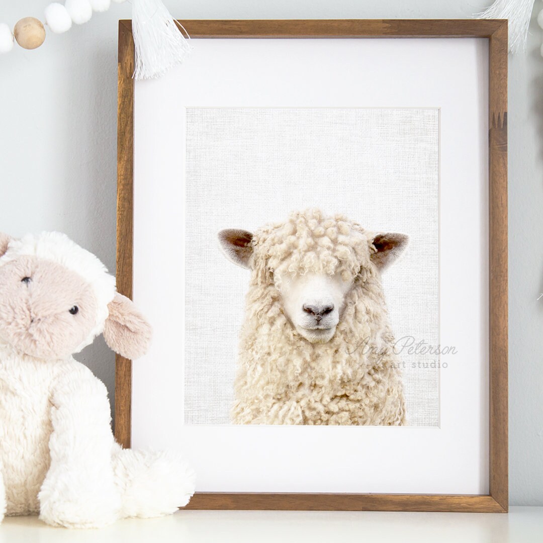 Sheep Photo Print Farm Animal Wall Art Sheep Portrait Sheep - Etsy