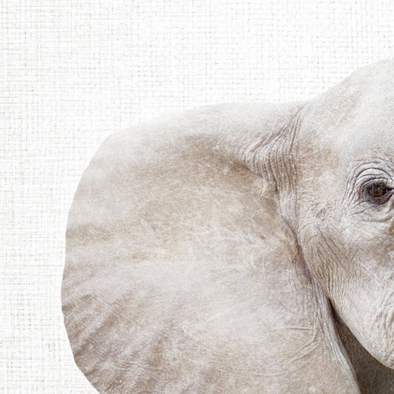 Baby Elephant Art Print Elephant Print Safari Animal Art by - Etsy