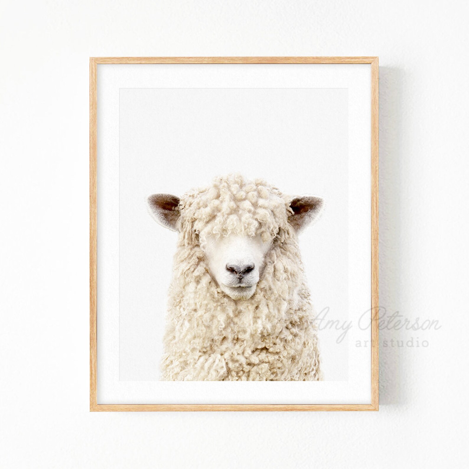 Sheep Photo Print Farm Animal Wall Art Sheep Portrait Sheep - Etsy