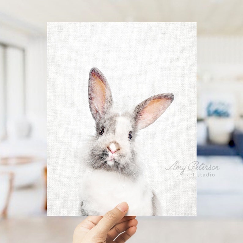 Gray Bunny Print as Seen in Homegoods Baby Animal Print for - Etsy