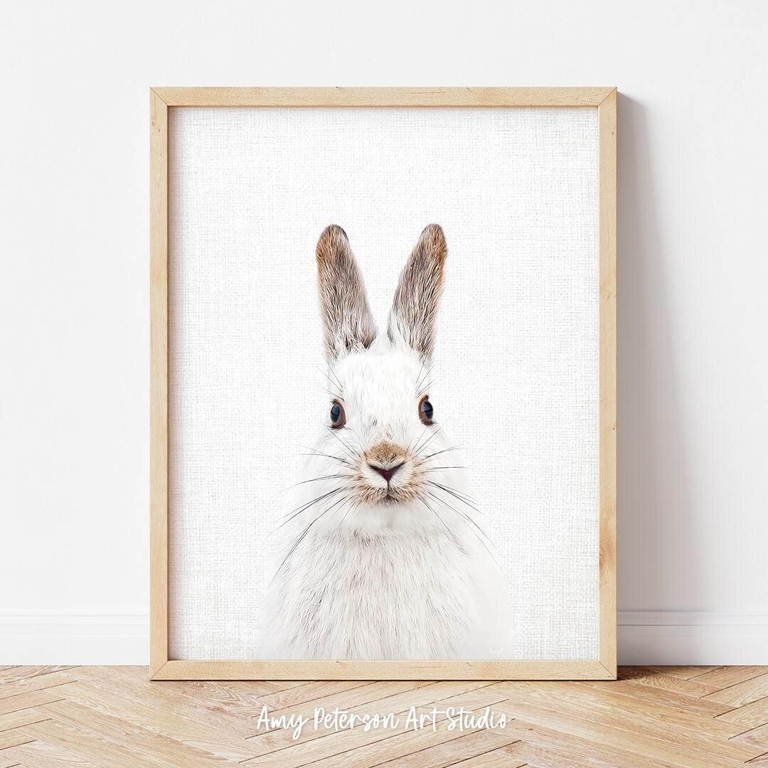 Snowshoe Hare Print, Bunny Print for Nursery, Bunny Portrait, Nursery ...