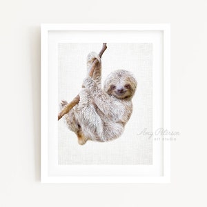 Baby Sloth Art Print Portrait of Baby Sloth Animal Wall Art - Etsy