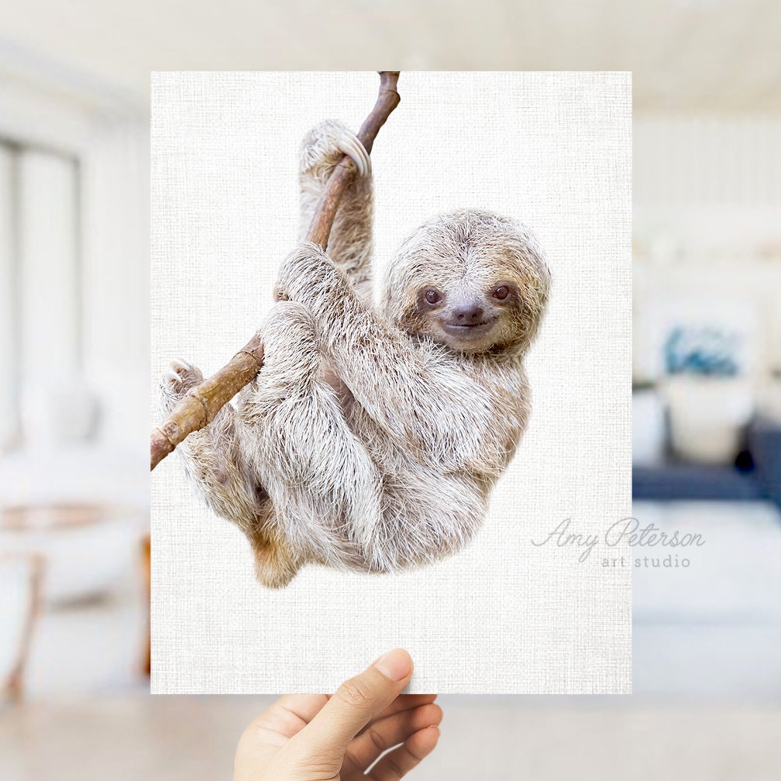 Baby Sloth Art Print Portrait of Baby Sloth Animal Wall Art - Etsy