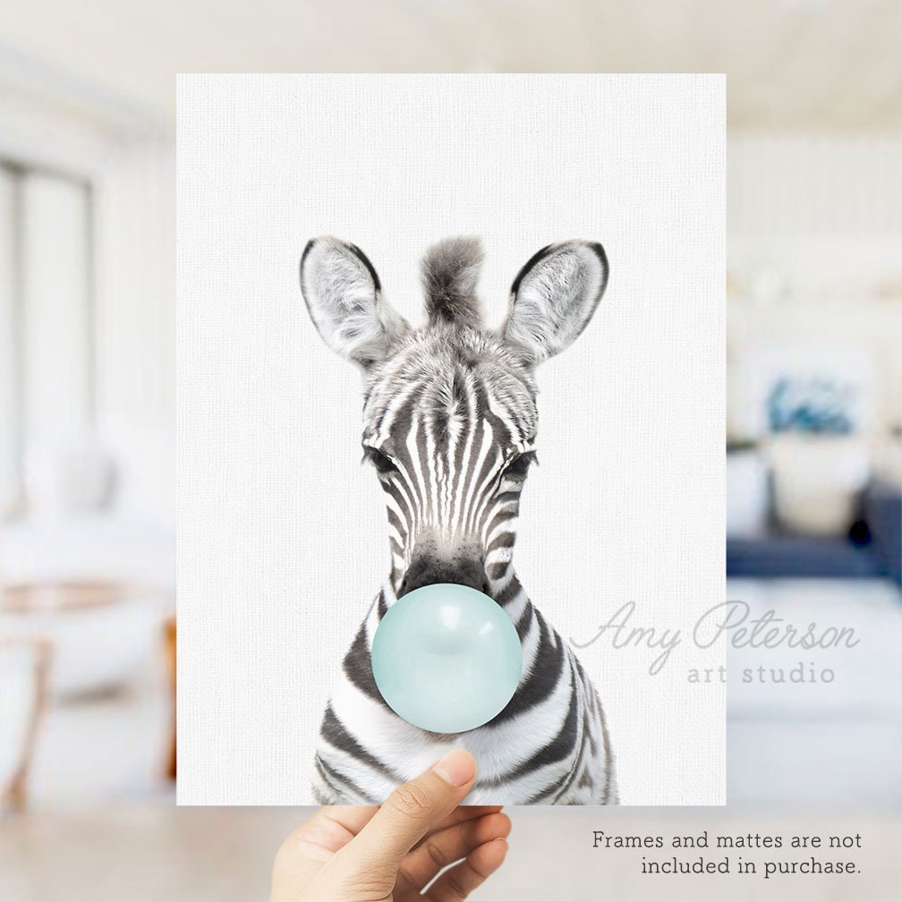 Baby Zebra Blowing PINK Bubble Gum Baby Zebra Print Safari | Etsy