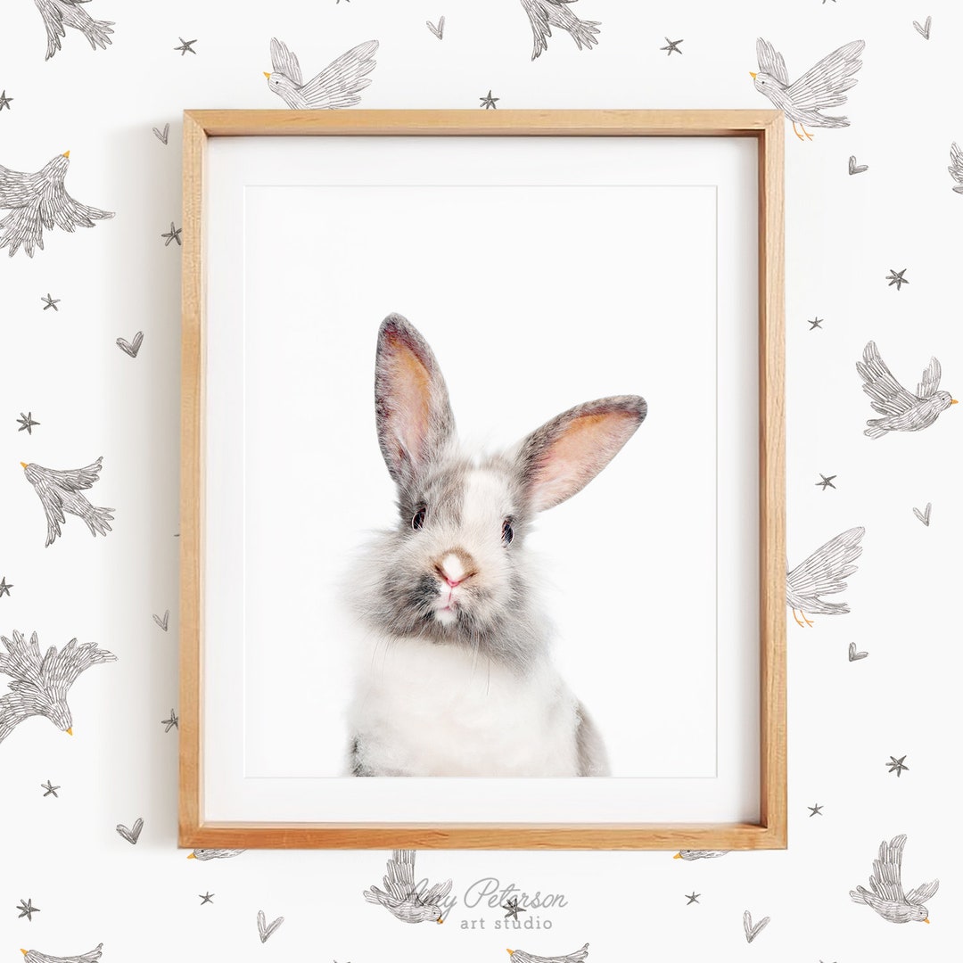 Gray Bunny Print as Seen in Homegoods, Baby Animal Print for Nursery ...