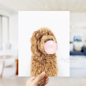 Goldendoodle Golden Labradoodle Dog Blowing Bubble Gum, Dog Art, Dog ...