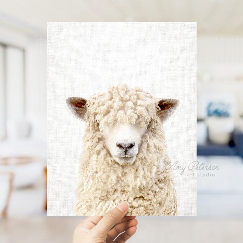 Sheep Photo Print Farm Animal Wall Art Sheep Portrait Sheep - Etsy