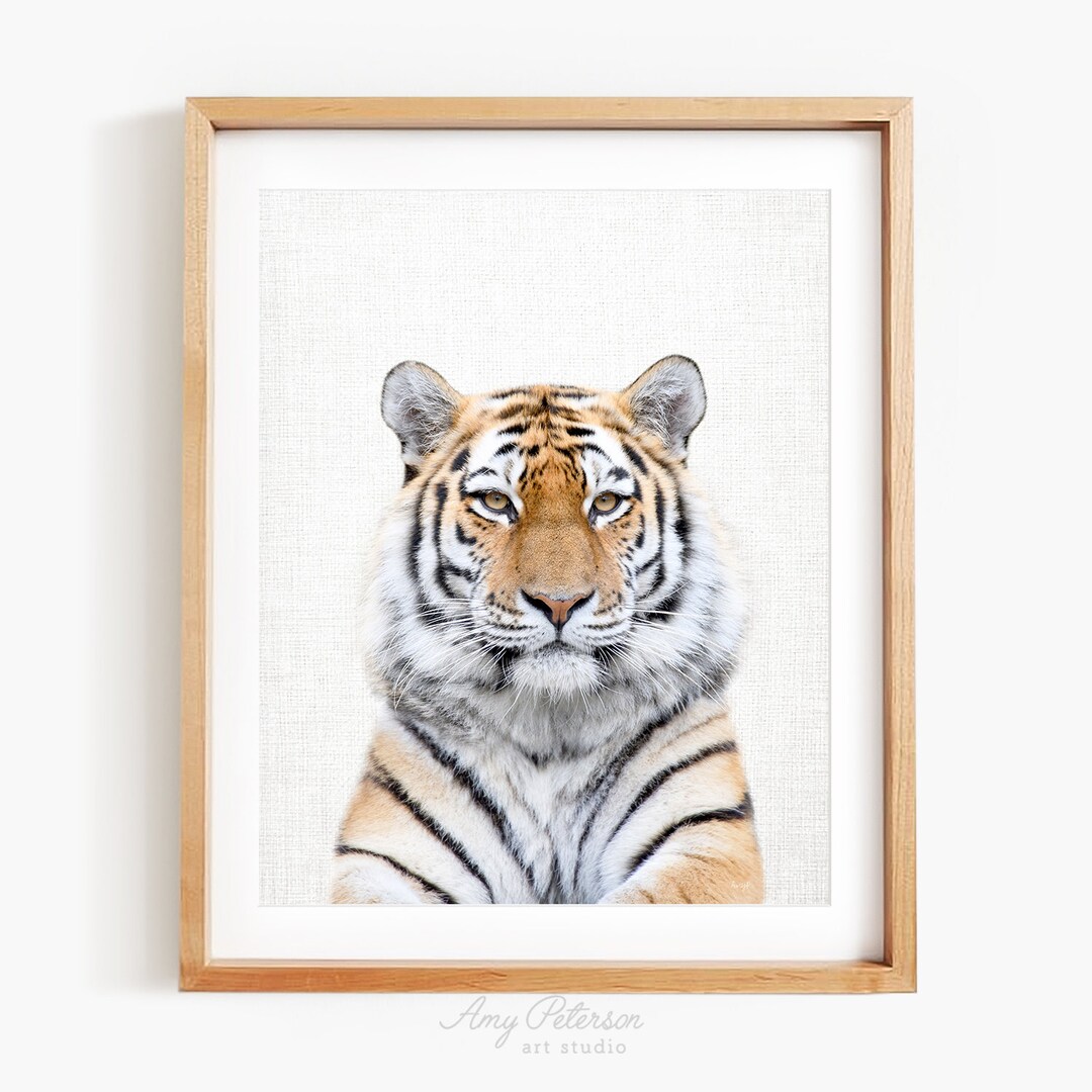 Tiger Print Tiger Portrait Tiger Wall Art Tiger Art Safari - Etsy