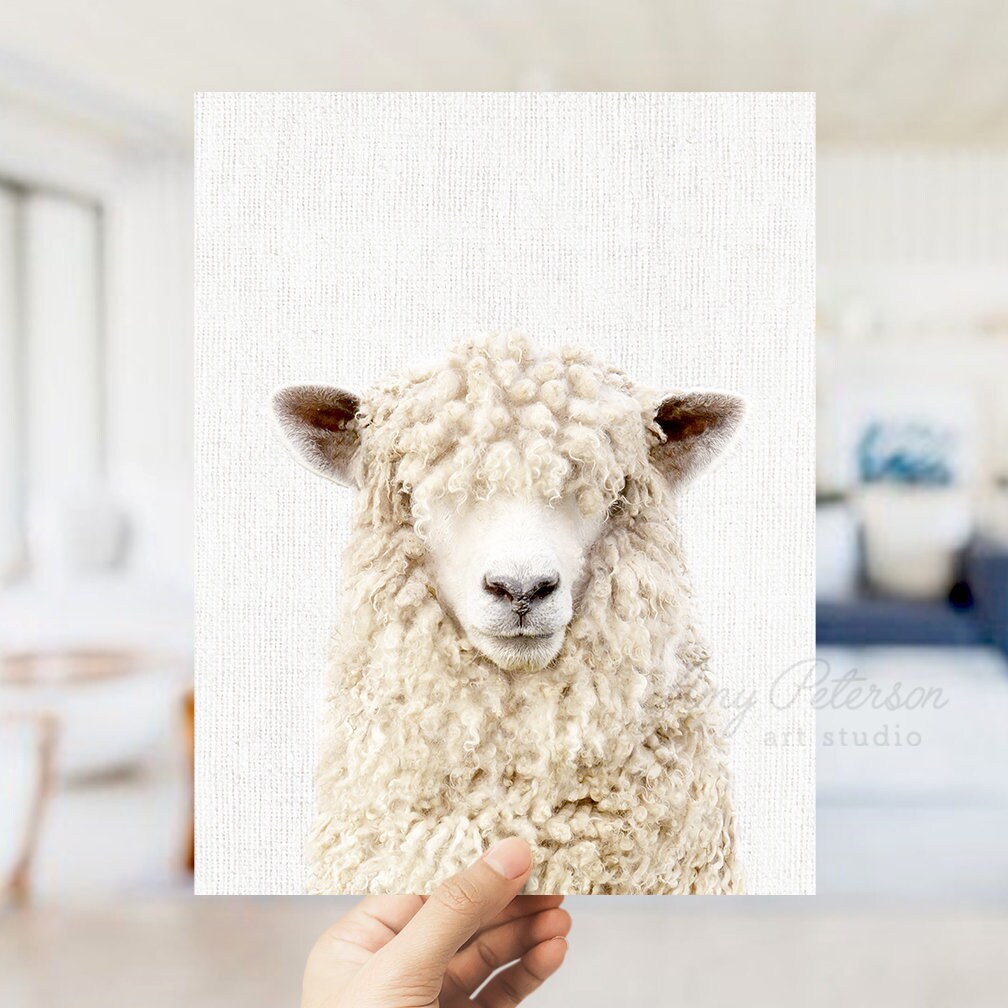 Sheep Photo Print Farm Animal Wall Art Sheep Portrait Sheep - Etsy