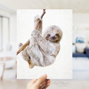 Baby Sloth Art Print, Portrait of Baby Sloth, Animal Wall Art, Sloth ...