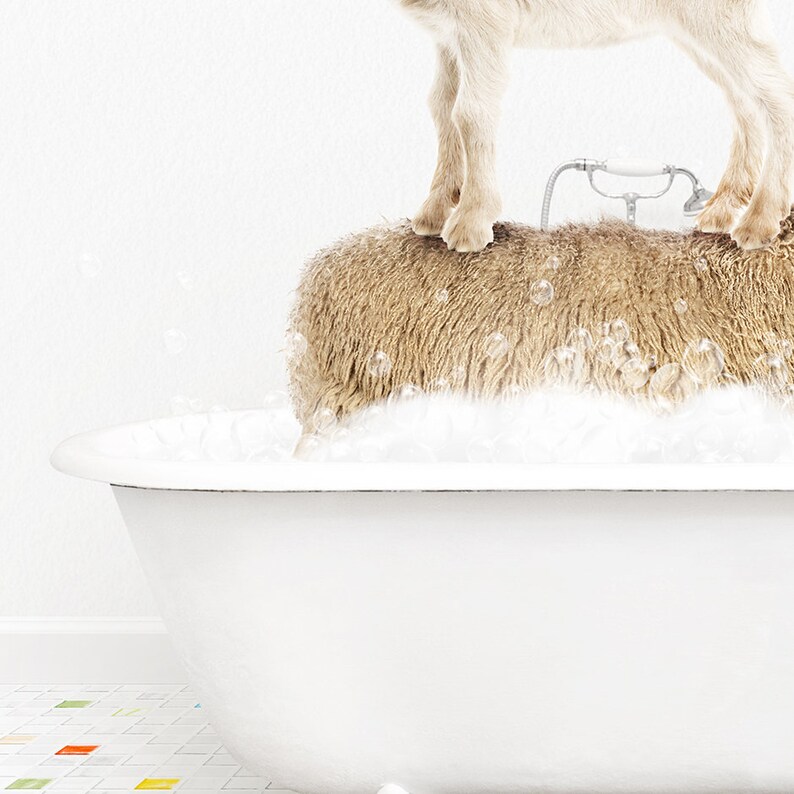 Farm Animals in a Vintage Bathtub Kids Bath Style Stacked - Etsy