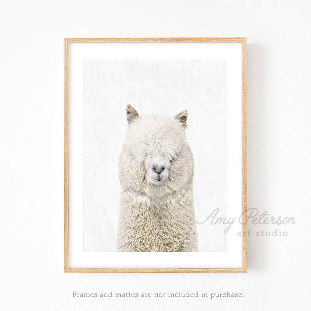 Alpaca Art Print Alpaca Portrait Alpaca Wall Art Animal Art | Etsy