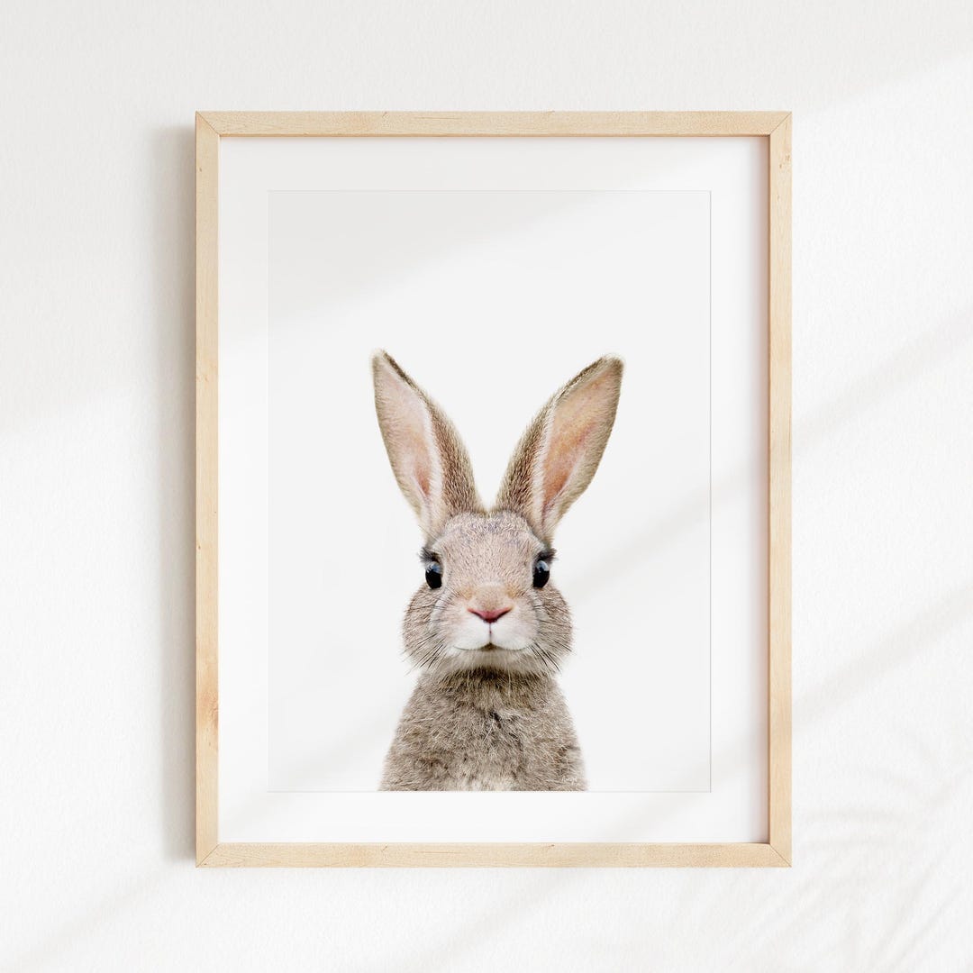 Baby Rabbit Print: Woodland Nursery Animal Wall Art - Etsy