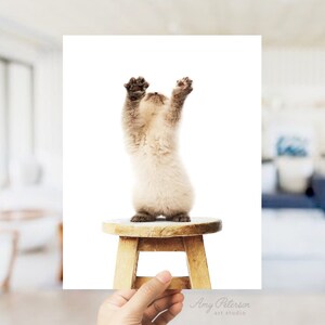 Cat Stretch on Stool as Seen in Homegoods Cat Art Print Cat - Etsy