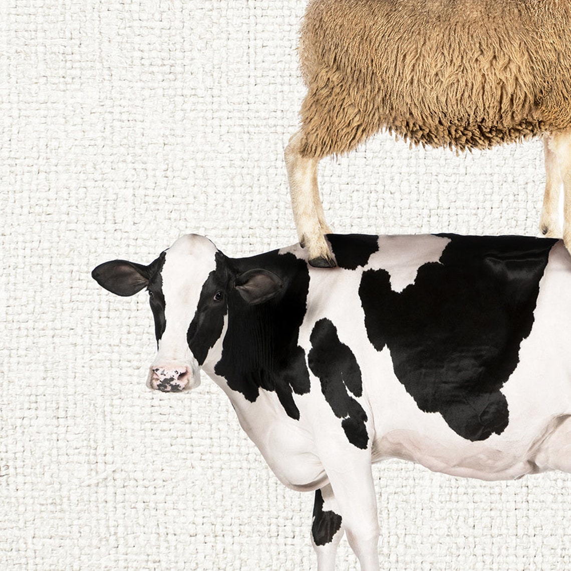 Stacked Farm Animals Rustic Farm Animal Art Print Farm - Etsy