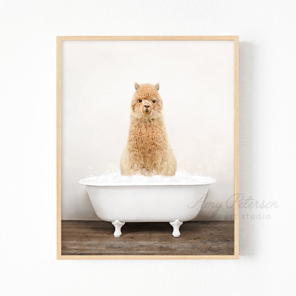 Alpaca in a Vintage Bathtub Rustic Bath Style Alpaca in Tub - Etsy