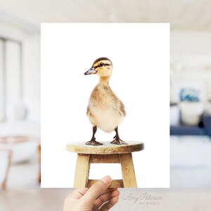 Woodland Duck Standing on Stool as Seen in Homegoods Duck - Etsy