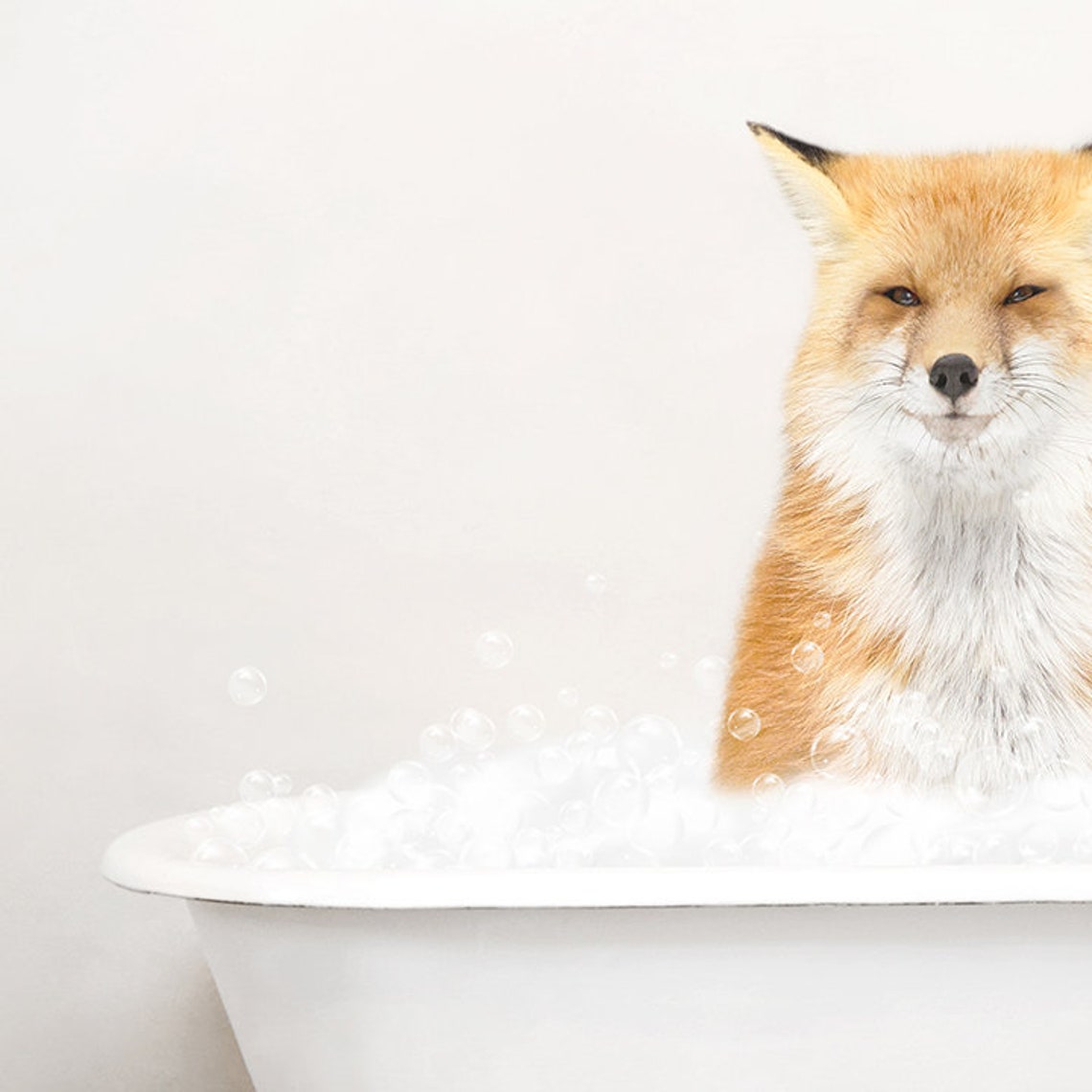 Fox in a Vintage Bathtub Rustic Bath Style Fox in Tub - Etsy