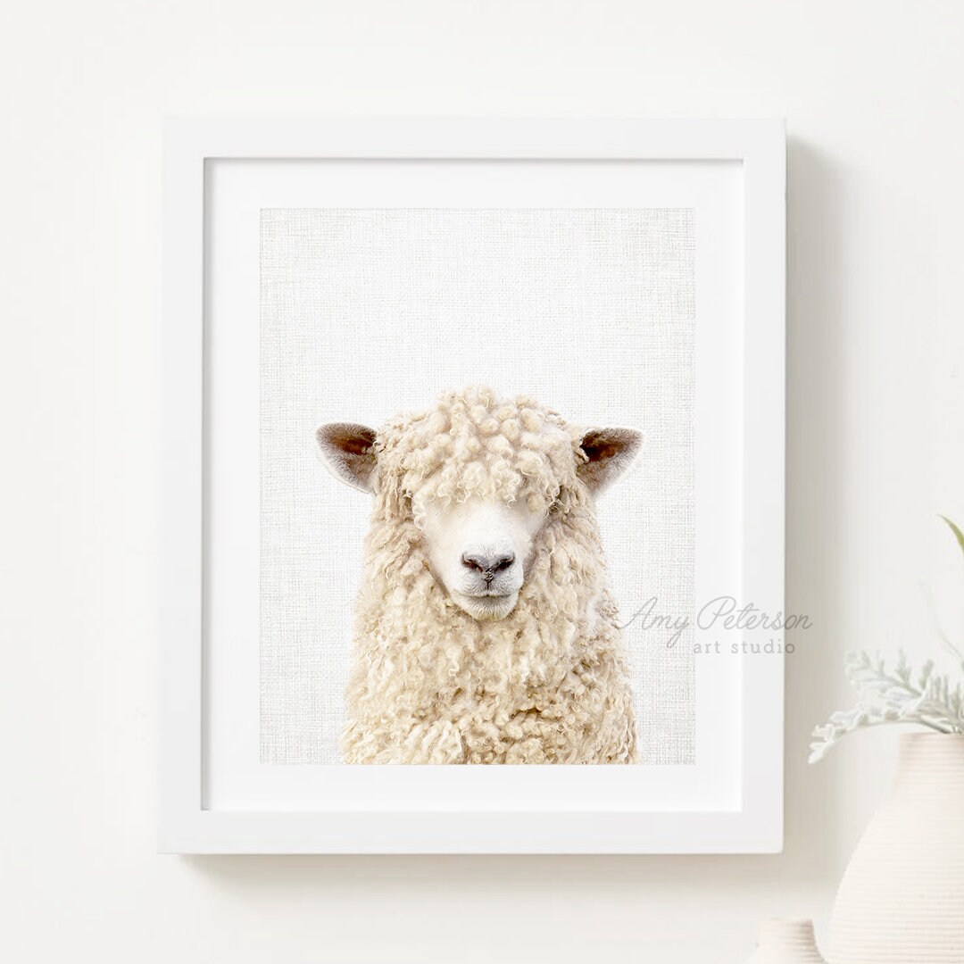 Sheep Photo Print Farm Animal Wall Art Sheep Portrait Sheep - Etsy