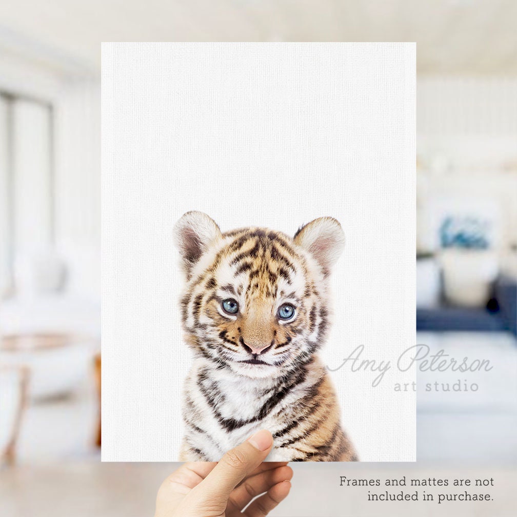 Baby Tiger Cub Safari Baby Animal for Nursery Art Safari | Etsy
