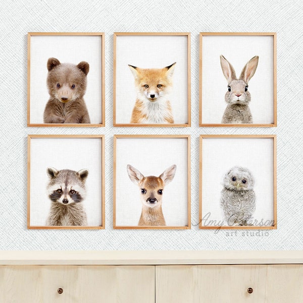 Nursery Animal Art - Etsy