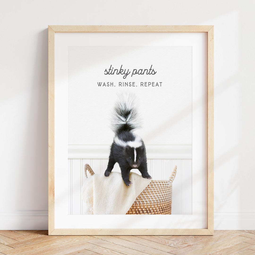 Baby Skunk "stinky Pants Wash, Rinse, Repeat", Laundry Wall Art ...