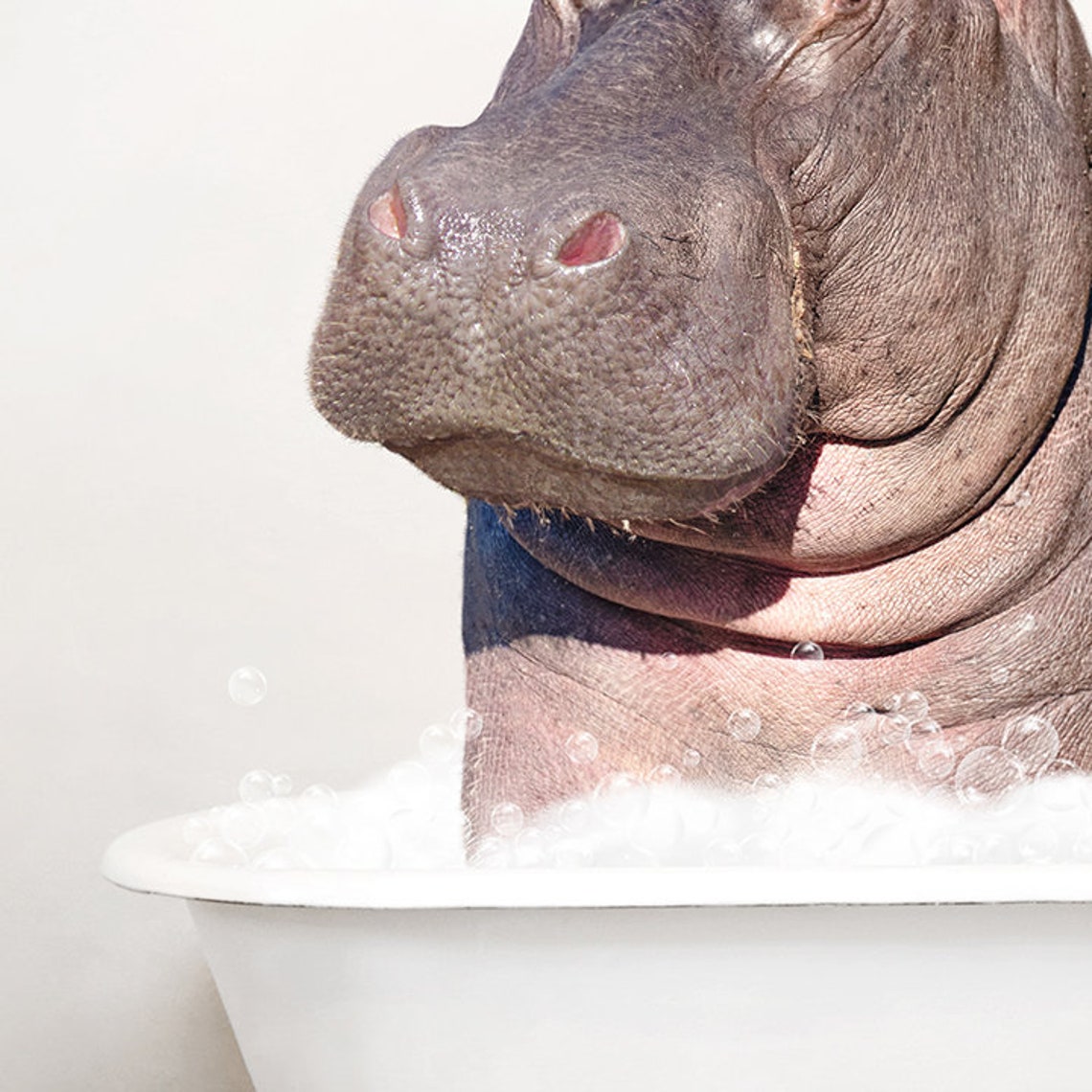 Hippo With Bird in a Vintage Bathtub Rustic Bath Style Hippo - Etsy