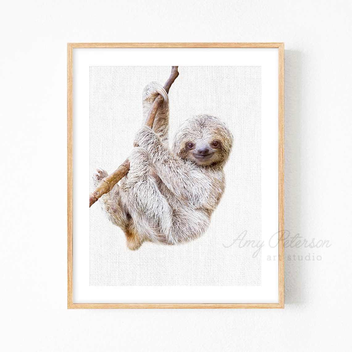 Baby Sloth Art Print Portrait of Baby Sloth Animal Wall Art - Etsy