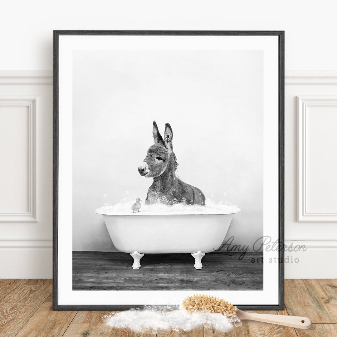 Baby Donkey in a Vintage Bathtub, Rustic Bath Style, Donkey Bathtub ...