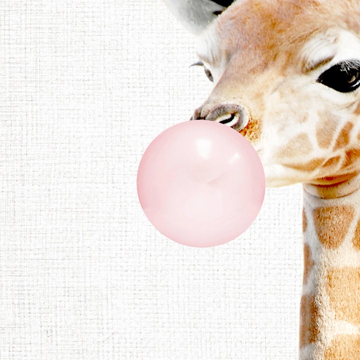 Baby Giraffe Blowing Bubble Gum Giraffe Print Safari Nursery - Etsy