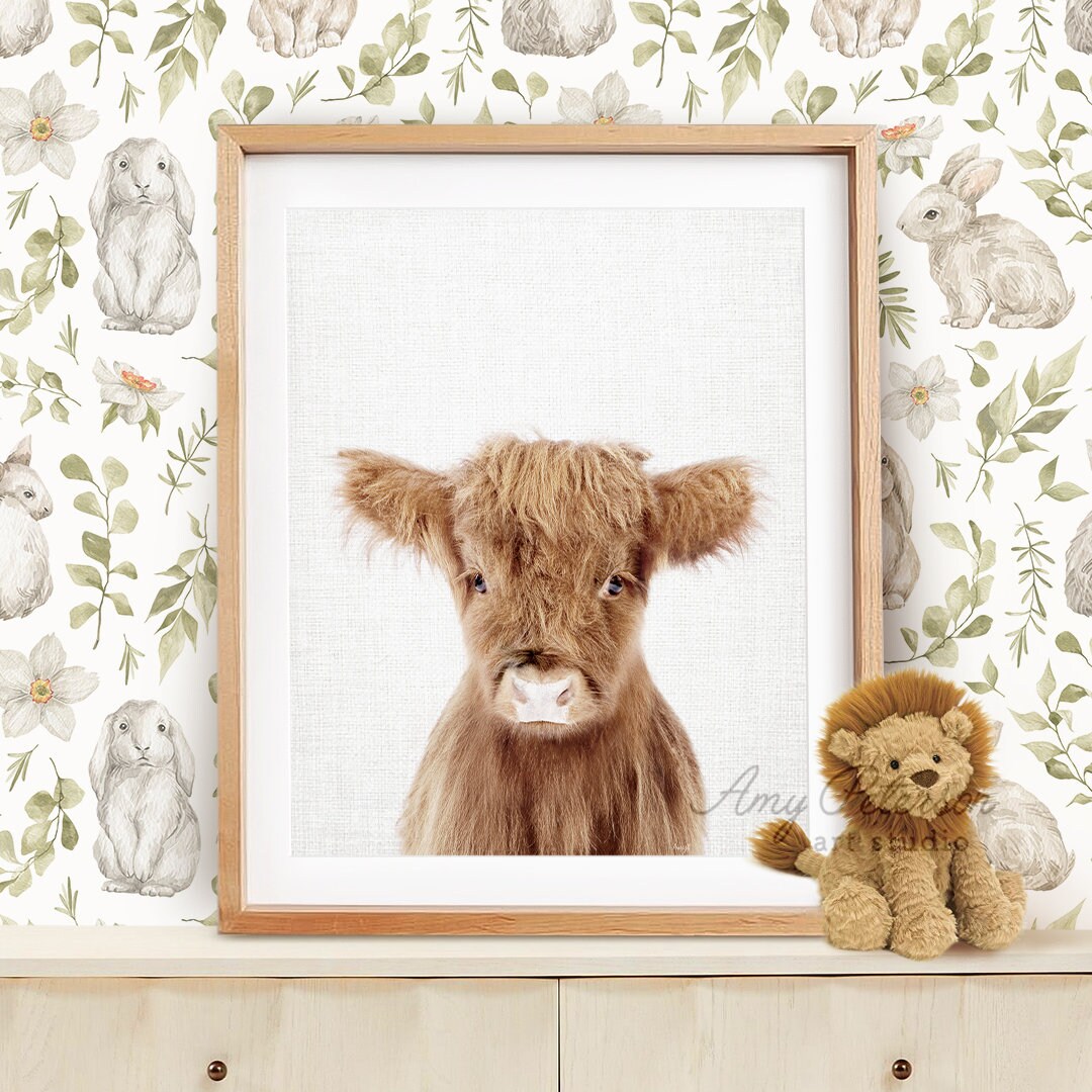 Baby Highland Cow, Baby Animal Nursery Wall Art, Animal Nursery Decor ...