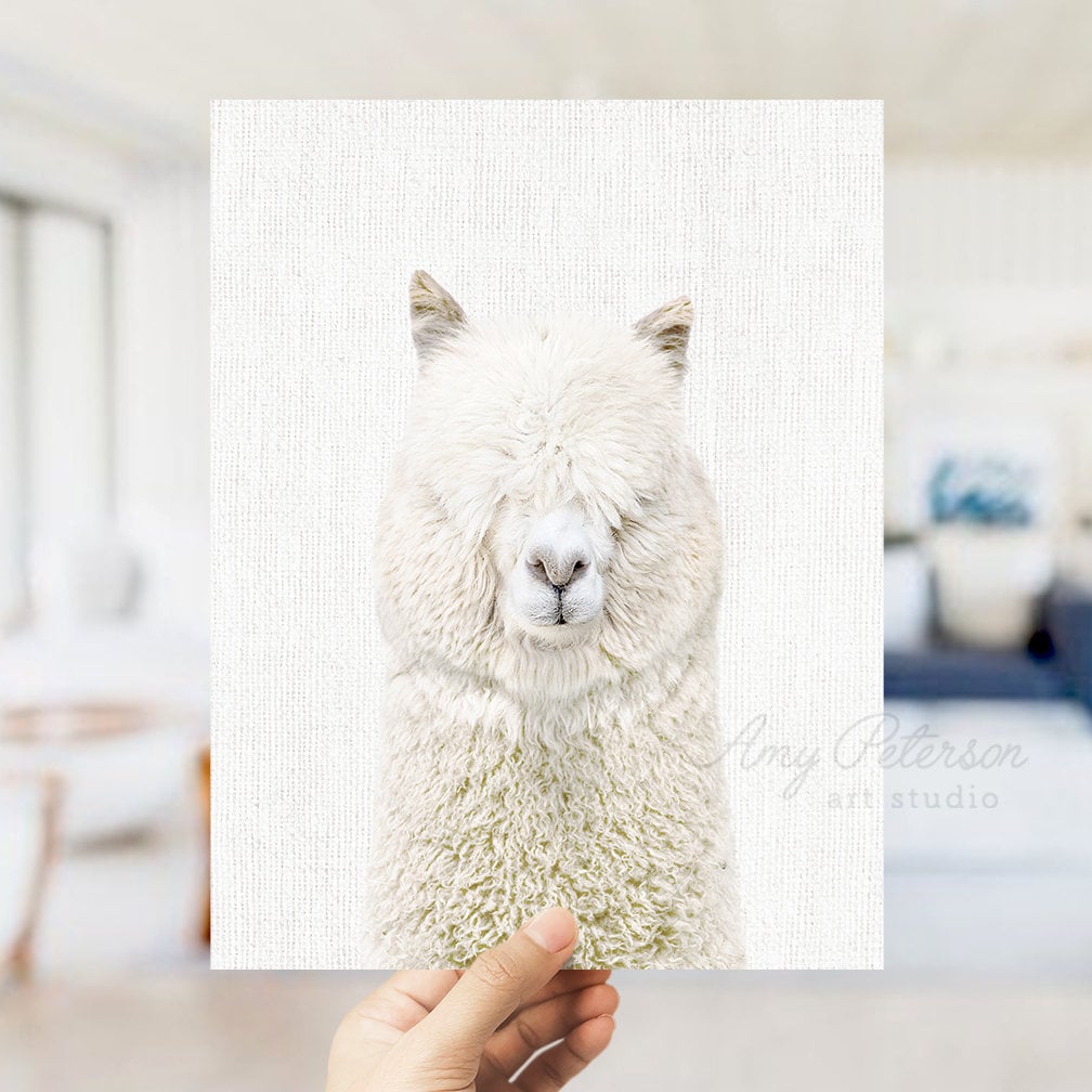 Alpaca Art Print Alpaca Portrait Alpaca Wall Art Animal Art - Etsy