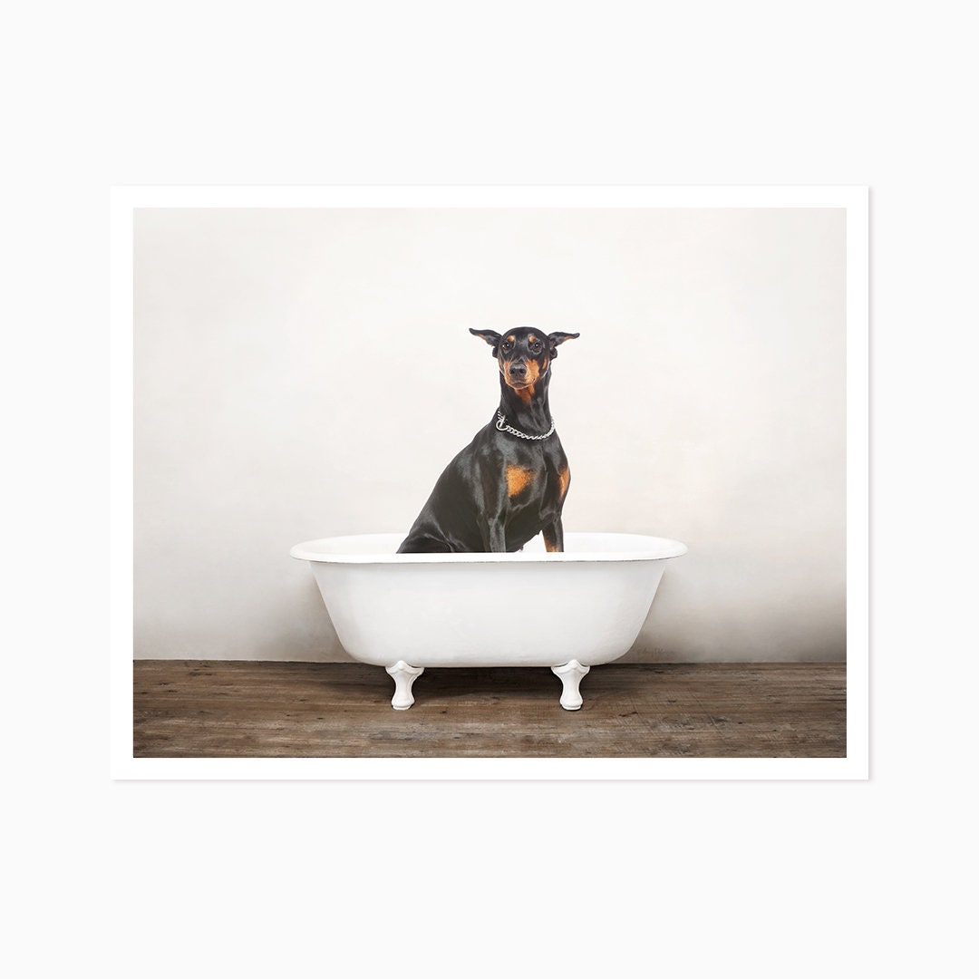 Doberman Pinscher Dog in a Vintage Bathtub Bathroom Art - Etsy