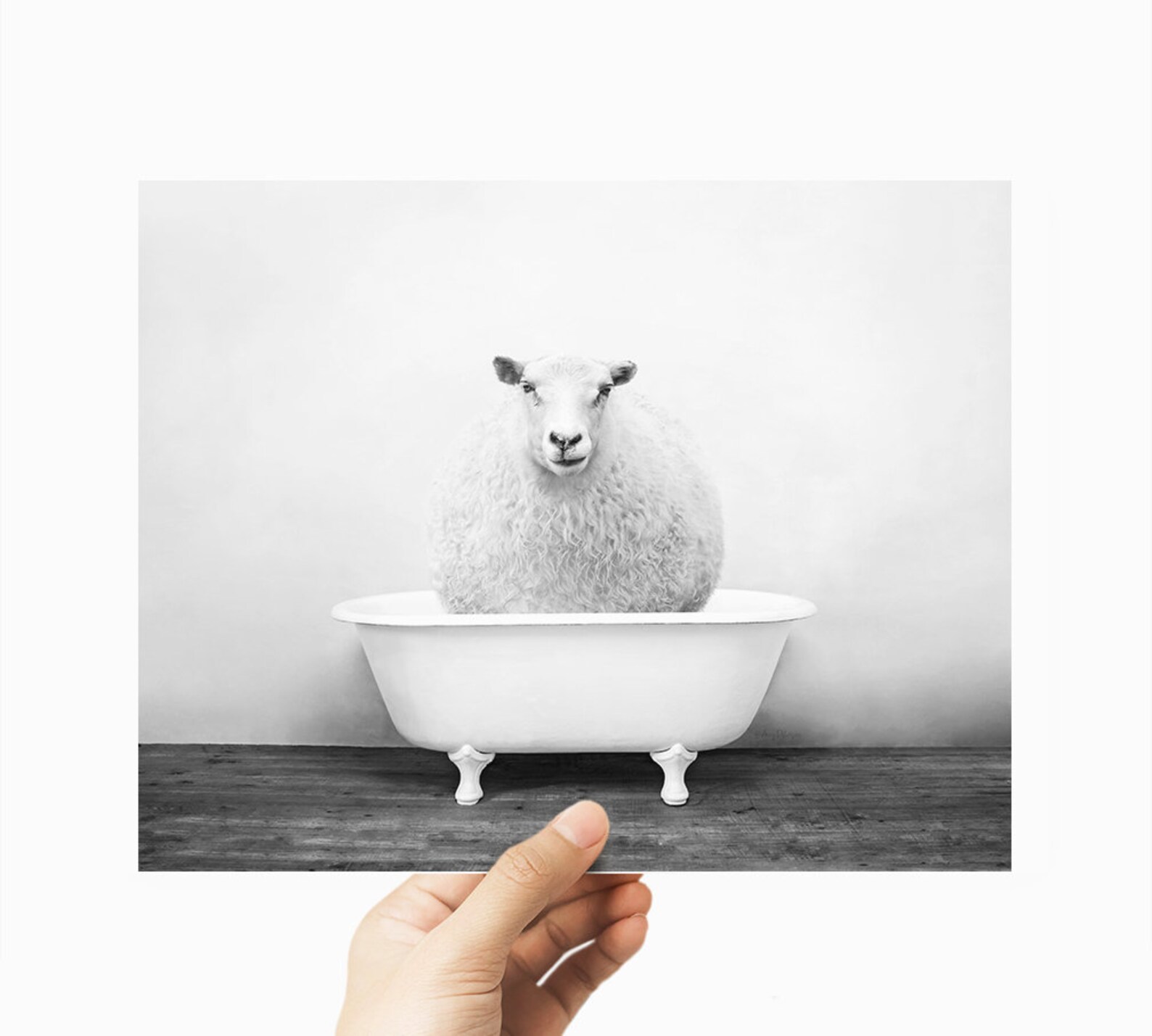 Sheep in a Vintage Bathtub Rustic Bath Style in Black and - Etsy